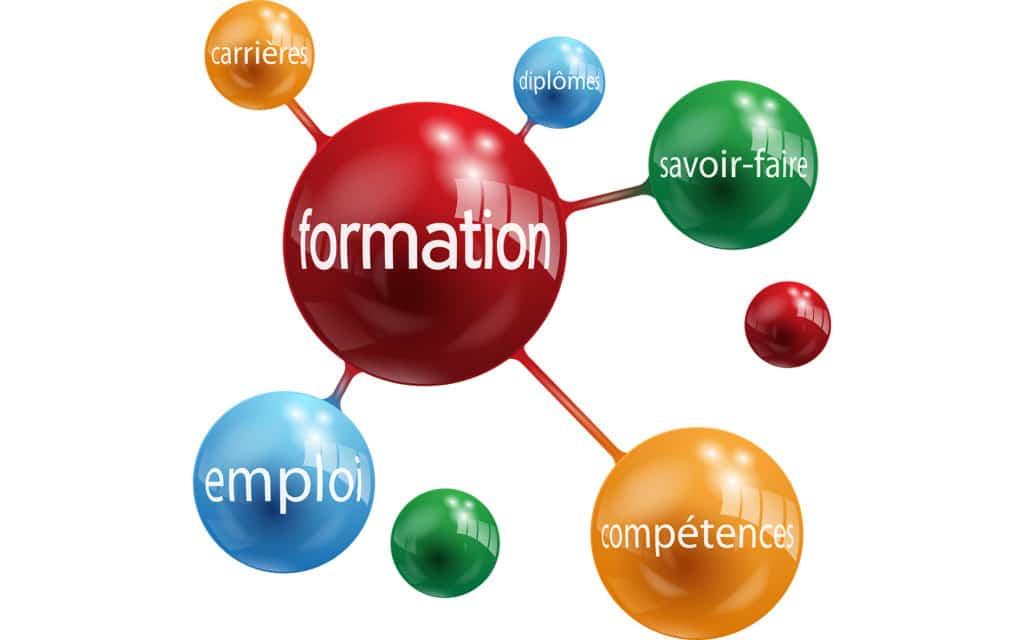 Guide 2019 des formations au CI : les formations certifiantes - Le Moci