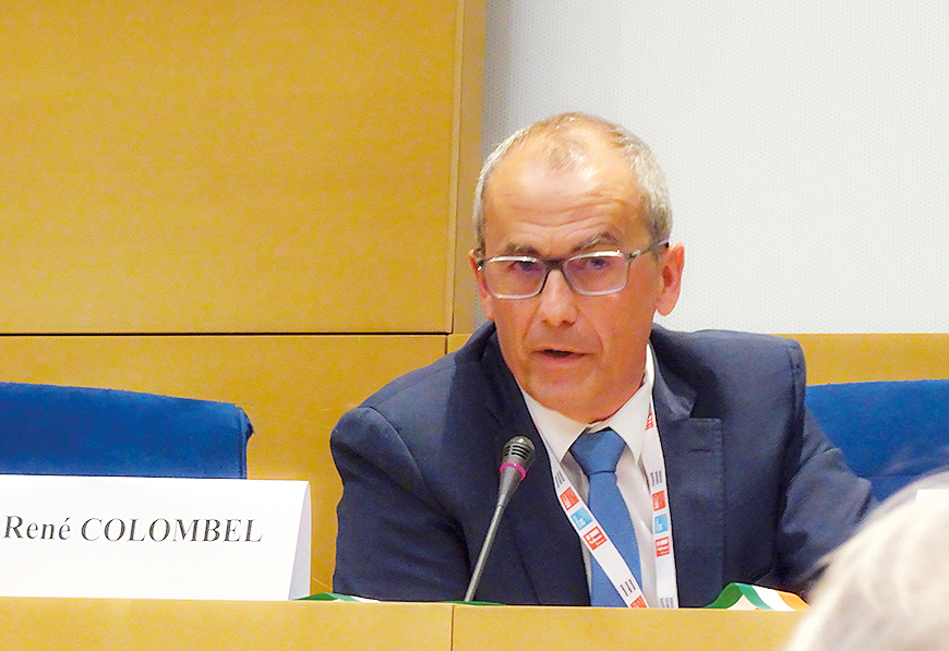 Inde : malgré la crise, retours d'expérience positifs pour des ...