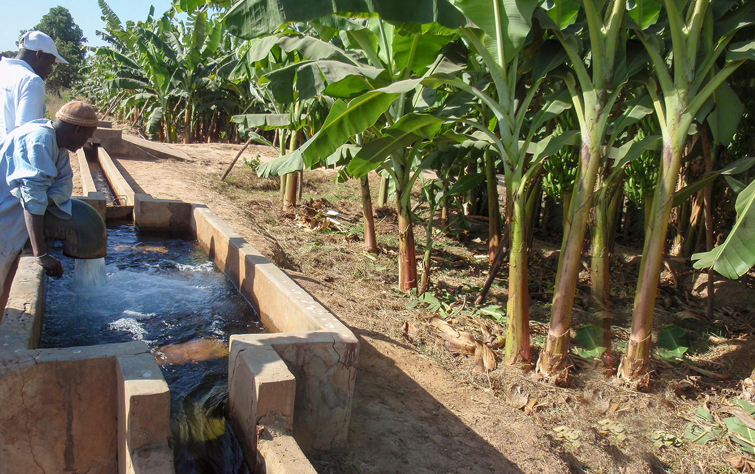 Prospection : 38 entreprises agricoles et agroalimentaires en mission ...